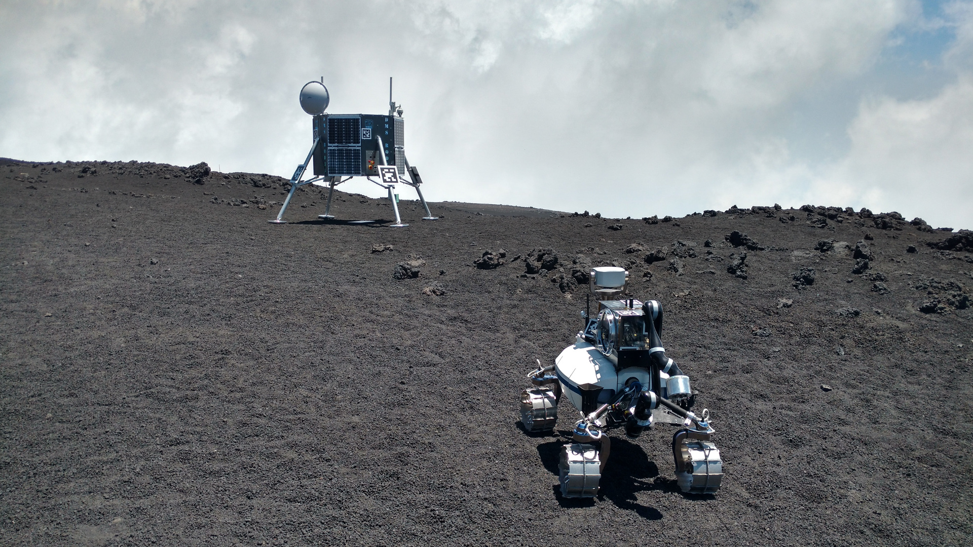 Robex | Sebastian Brunner